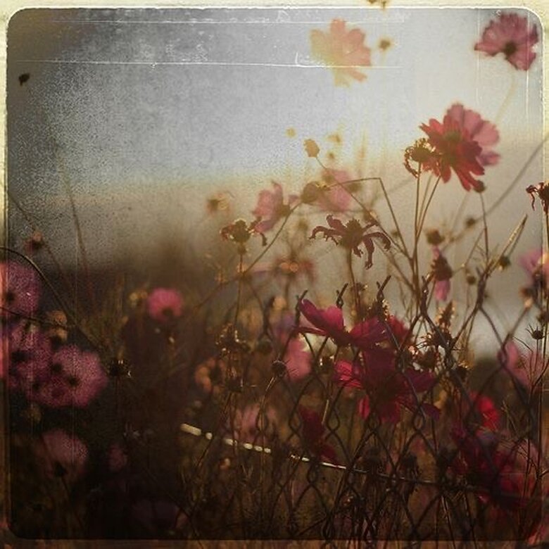 fav (nct) - List A Write