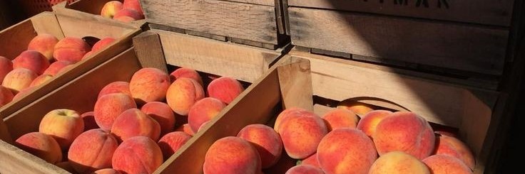 Peach_017 @readawrite.com