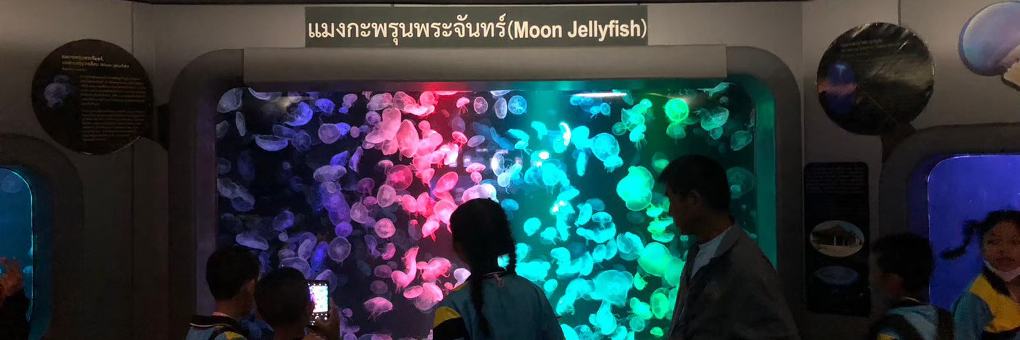 smi_leloves @readawrite.com