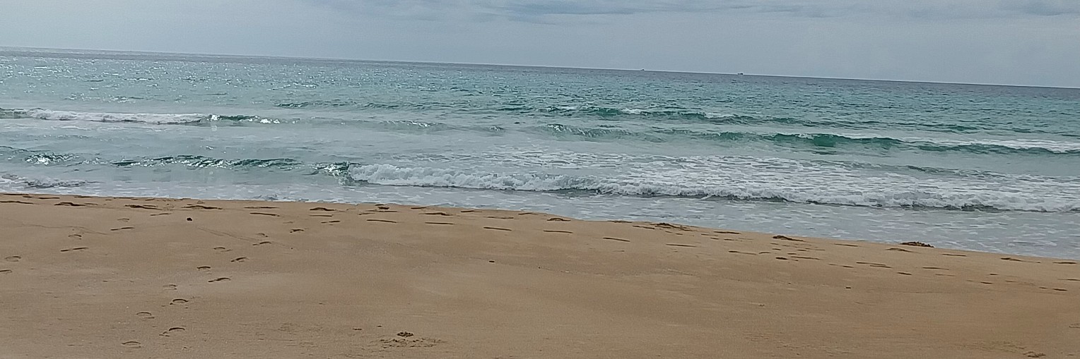 จันทร์เเรม _ @readawrite.com