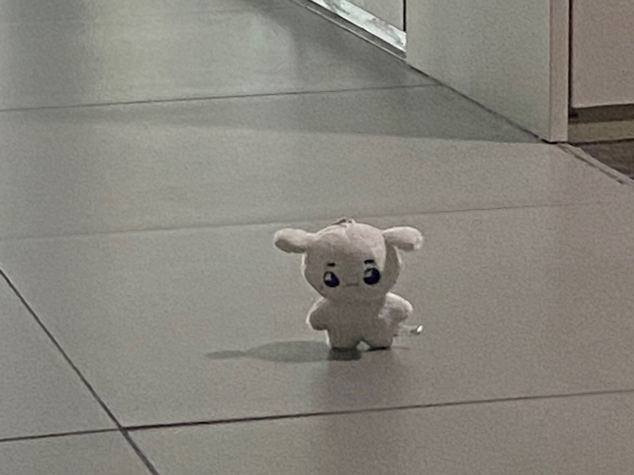 ppuppy_q @readawrite.com