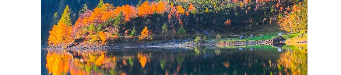 ชาเย็น6606 @readawrite.com