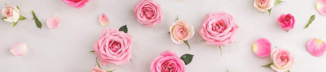 Rosesarin_ @readawrite.com