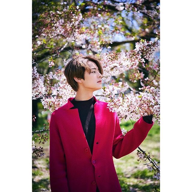 ธัญวลัย | นิยาย นวนิยาย นิยายออนไลน์ เขียนนิยายออนไลน์