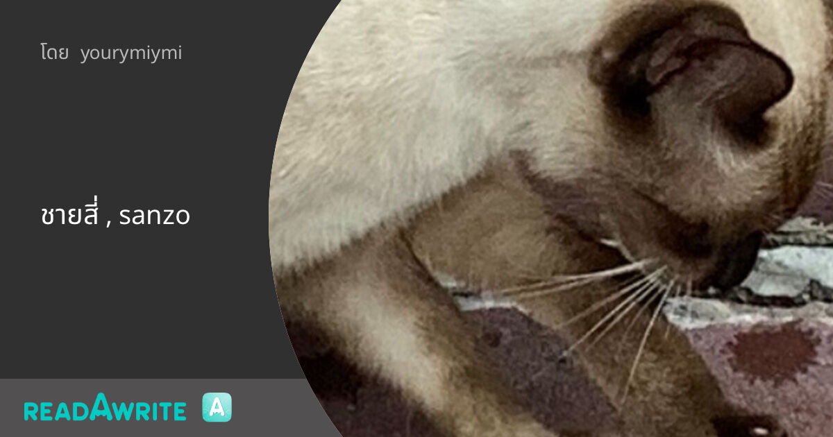 ชายสี่ , sanzo: ฟิค Boy Love (แชท)