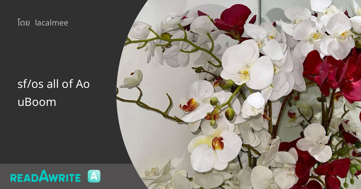 sf/os all of AouBoom: ฟิค Boy Love (แชท)