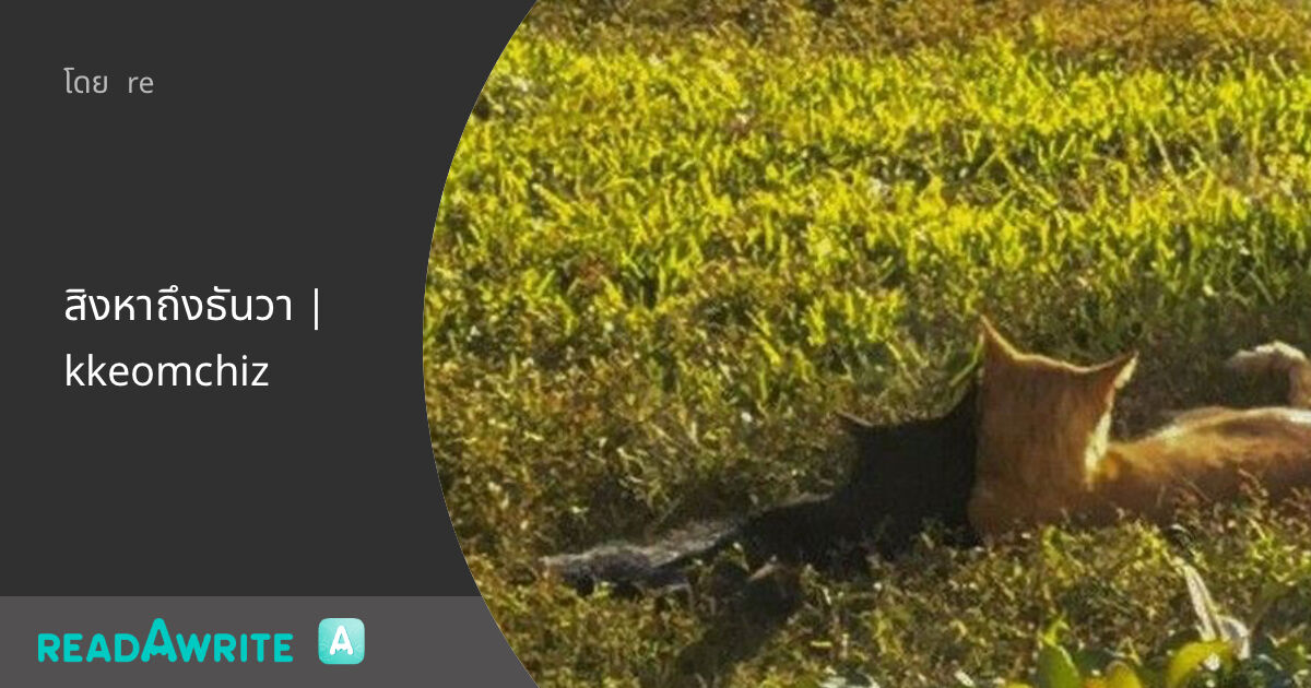 สิงหาถึงธันวา | kkeomchiz: ฟิค Boy Love (แชท)