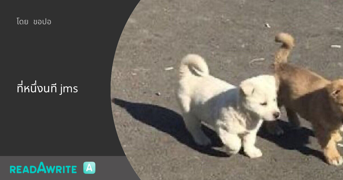 ที่หนึ่งนที jms - 1 : ฟิค Boy Love (แชท)