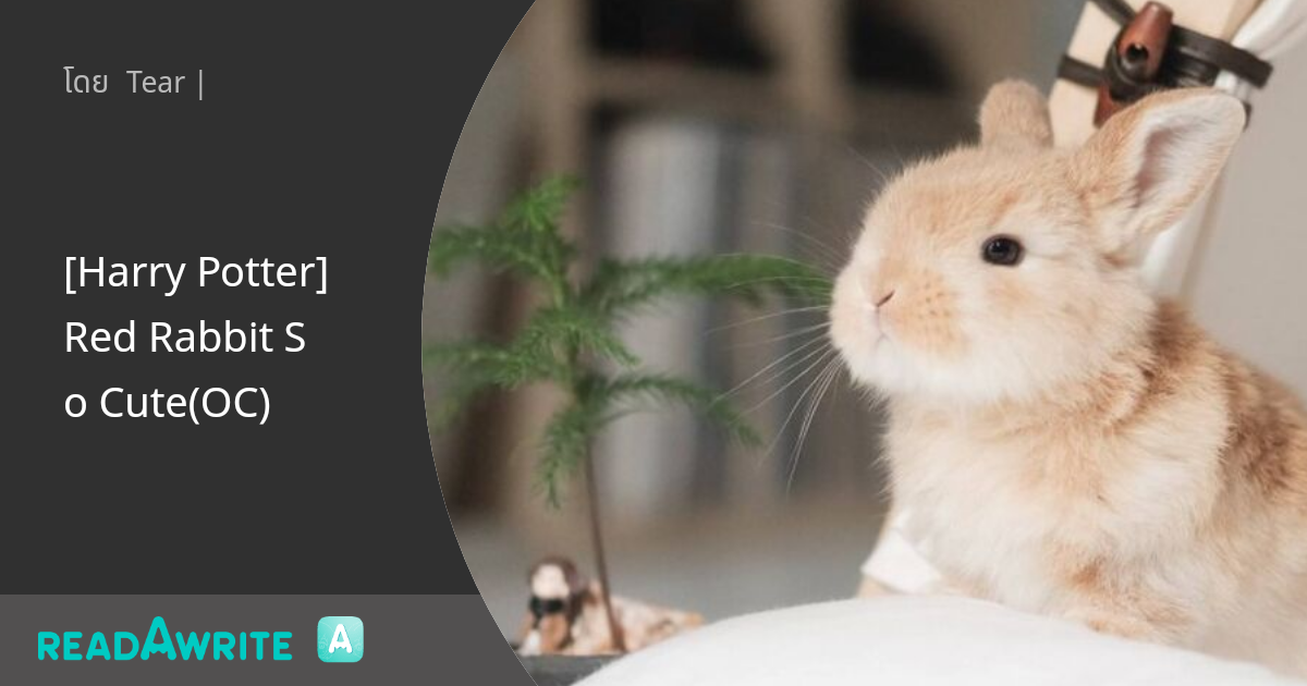 [Harry Potter] Red Rabbit So Cute(OC): ฟิค Love Novel (บรรยาย)