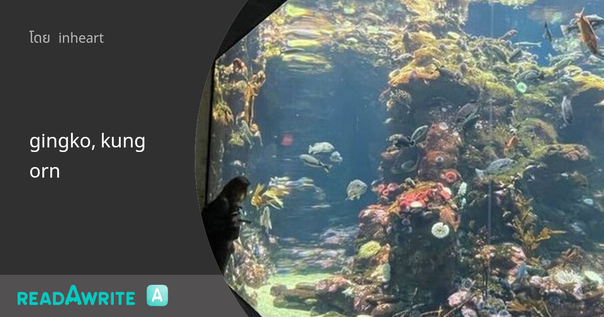 gingko, kungorn: ฟิคฟรีสไตล์ (แชท)