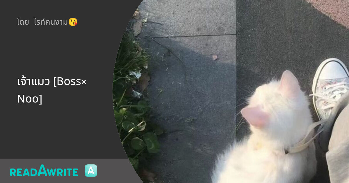 เจ้าแมว [Boss×Noo]: ฟิค Love Novel (แชท)