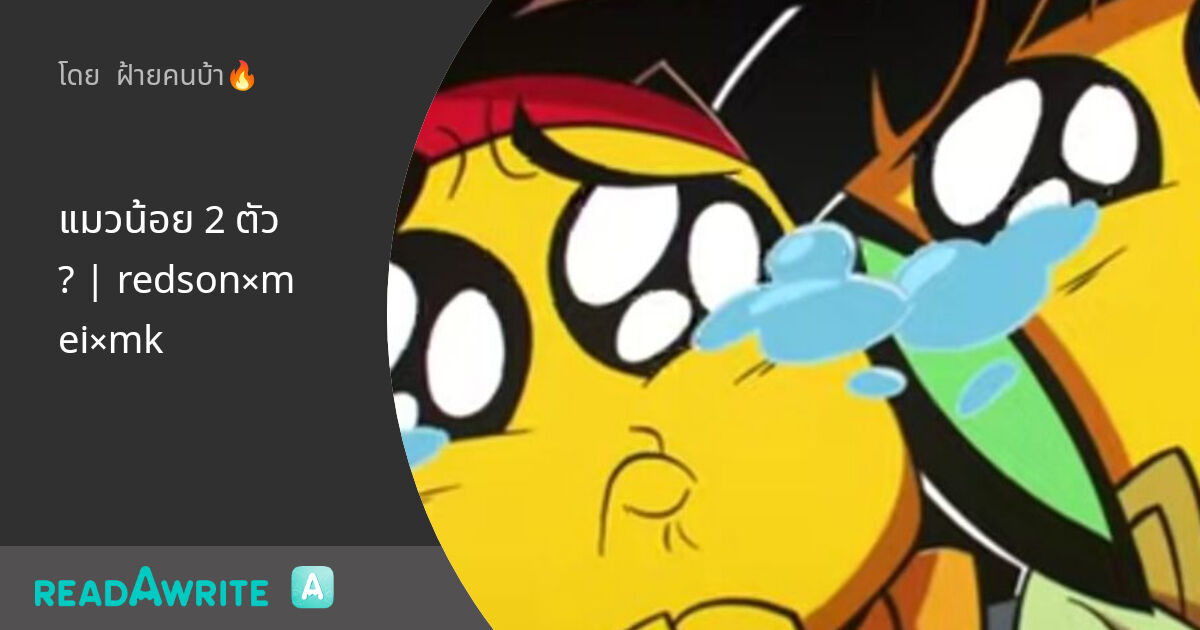 แมวน้อย 2 ตัว ? | redson×mei×mk: ฟิค Love Novel (แชท)