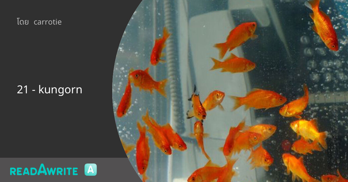 21 - kungorn: ฟิค Boy Love (แชท)