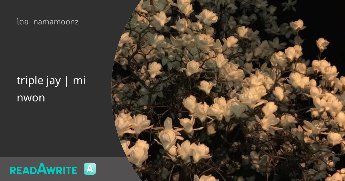 triple jay | minwon - jayden no.2 : ฟิคฟรีสไตล์ (แชท)