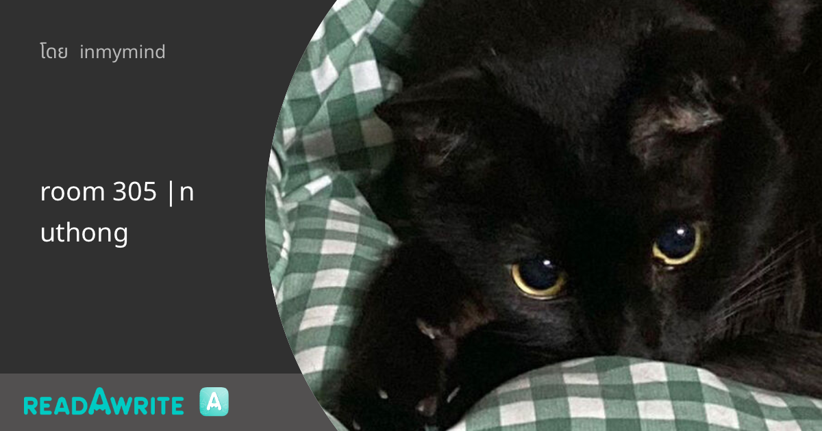 room 305 |nuthong: ฟิค Boy Love (แชท)