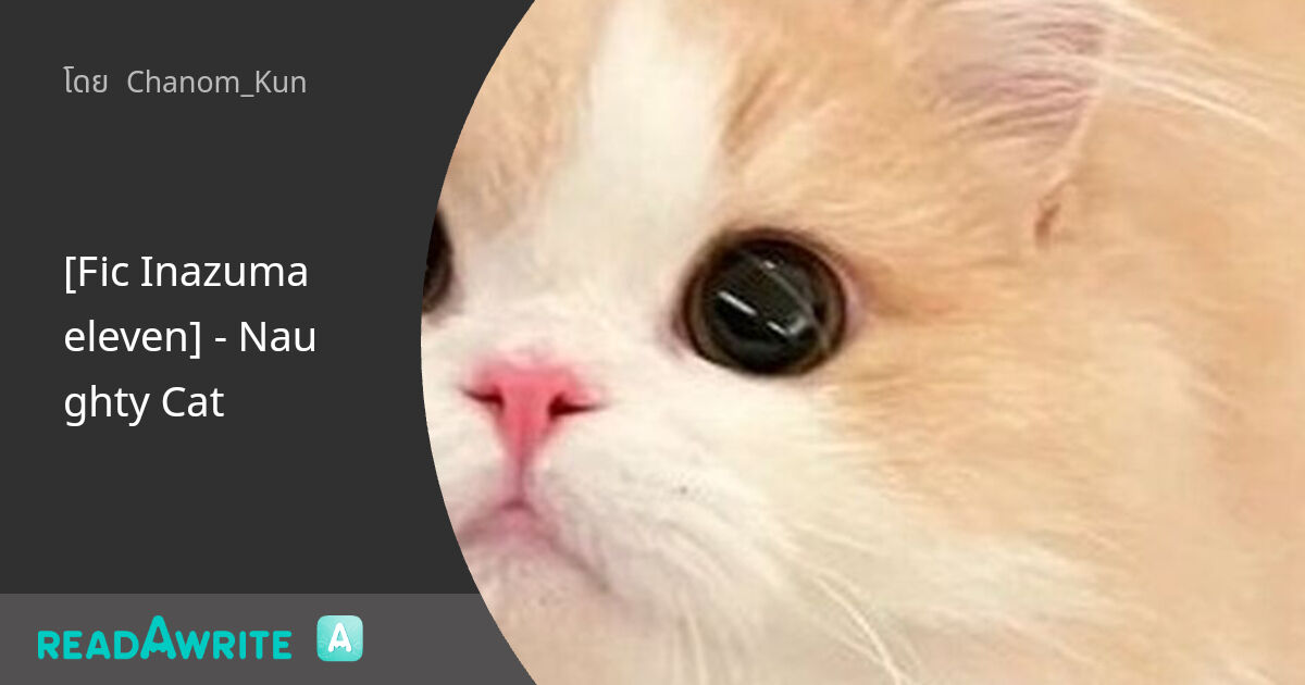 [Fic Inazuma eleven] - Naughty Cat - Naughty Cat | 2 : ฟิค Boy Love (แชท)