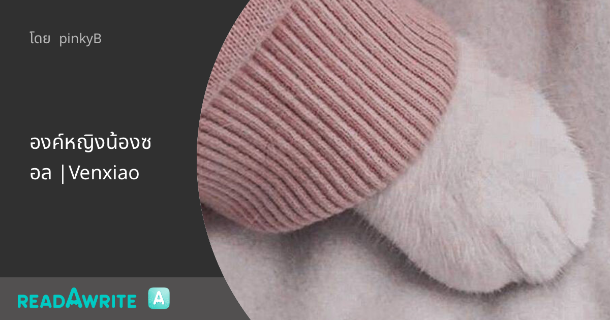 องค์หญิงน้องซอล |Venxiao - บทที่1 แมวตัวโปรด: ฟิค Boy Love (บรรยาย)