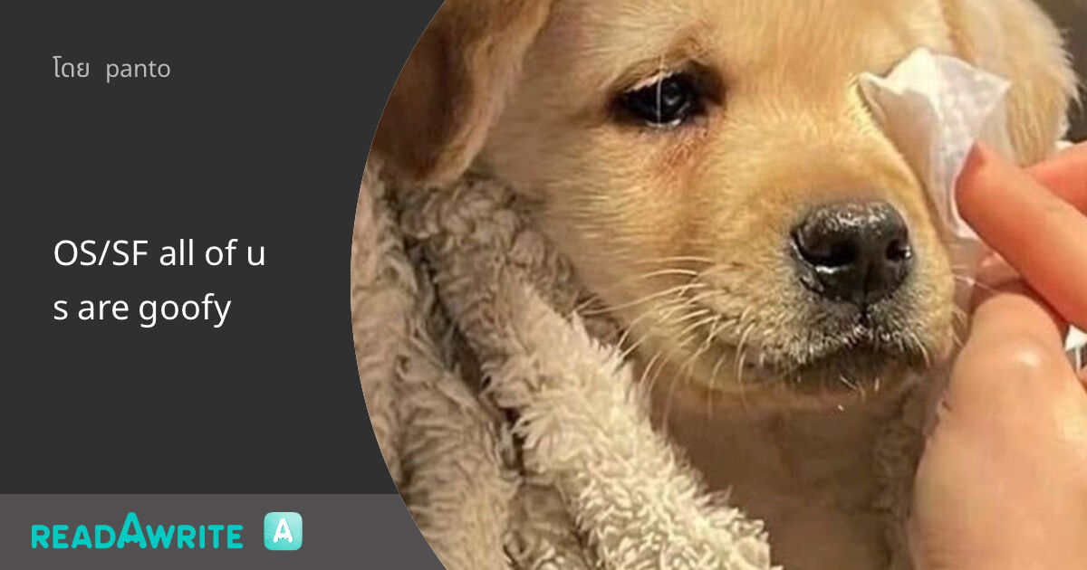 OS/SF all of us are goofy - (OS) สิบแปด สิบเจ็ด: ฟิค Boy Love (บรรยาย)