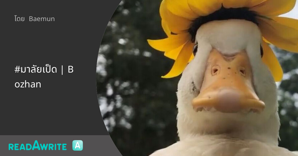 #มาลัยเป็ด | Bozhan - 6 : ฟิค Boy Love (แชท)