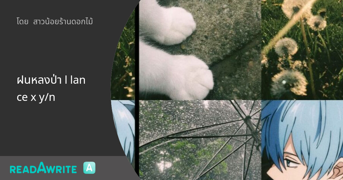 ฝนหลงป่า l lance x y/n: ฟิค Love Novel (แชท)