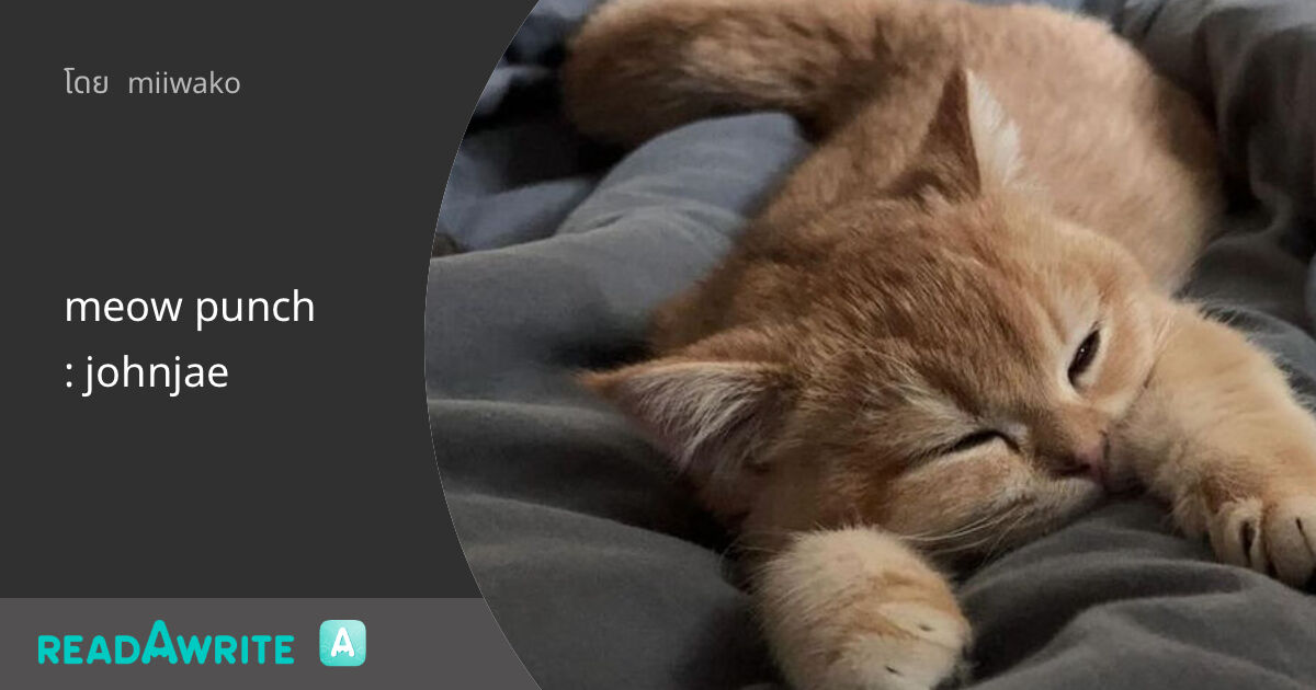 meow punch : johnjae: ฟิค Boy Love (แชท)