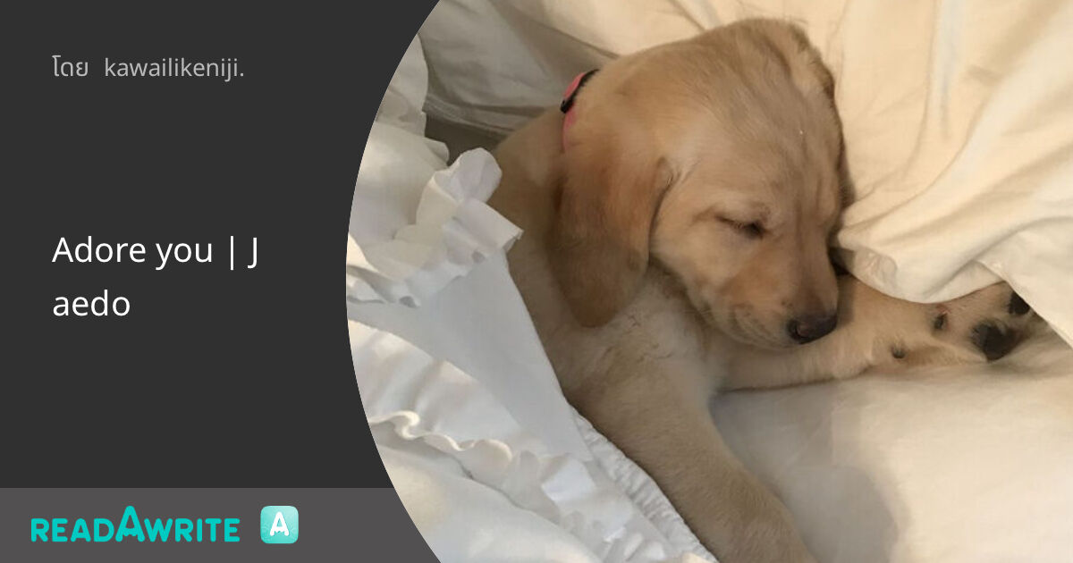 Adore you | Jaedo - 𓏲 ๋࣭ ࣪ ˖🎐 ᶻ 01 : ฟิค Boy Love (แชท)