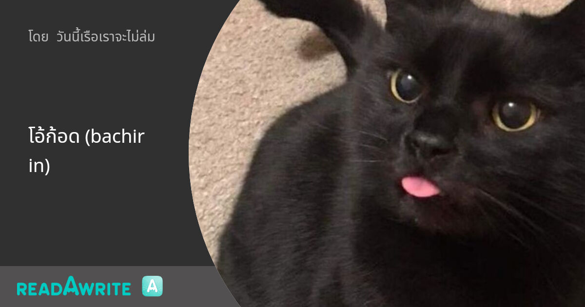 โอ้ก้อด (bachirin): ฟิค Boy Love (แชท)