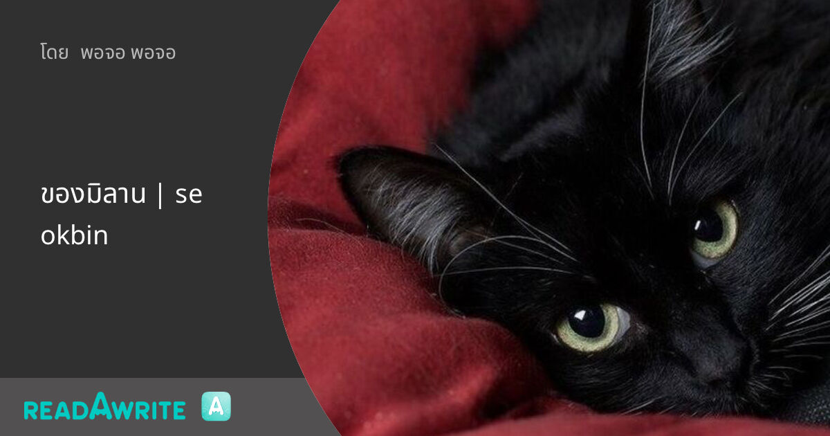 ของมิลาน | seokbin: ฟิค Boy Love (แชท)