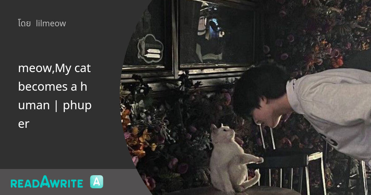 meow,My cat becomes a human | phuper: ฟิค Boy Love (แชท)