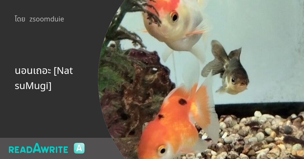 นอนเถอะ [NatsuMugi]: ฟิค Boy Love (แชท)