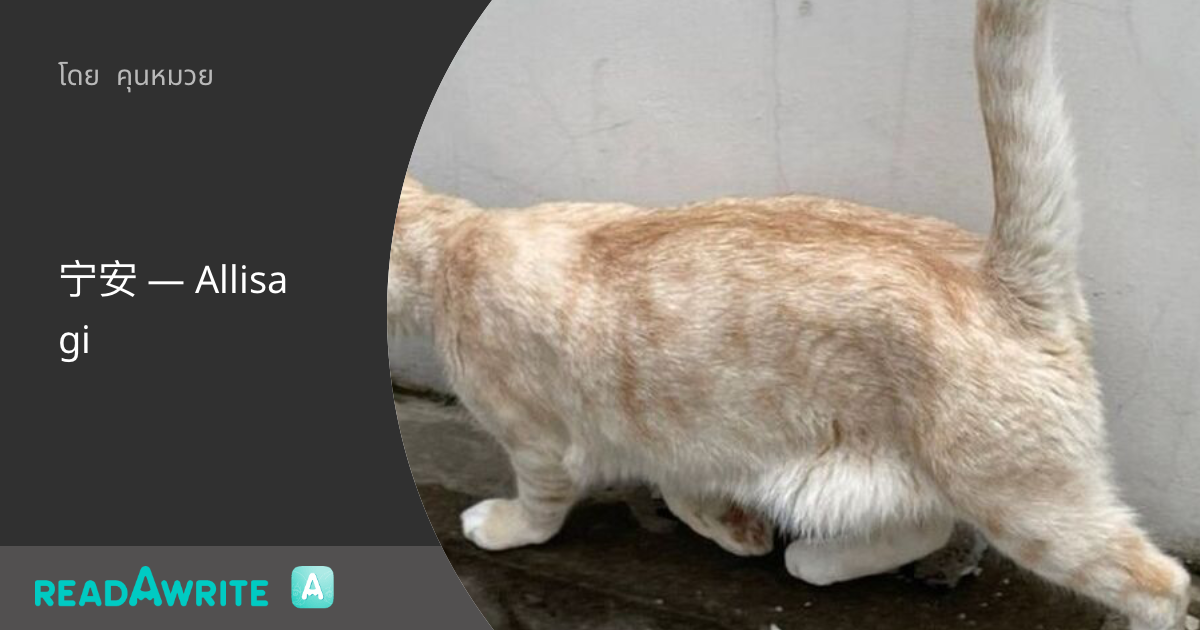 宁安 — Allisagi - Tex 4 : ฟิค Boy Love (แชท)