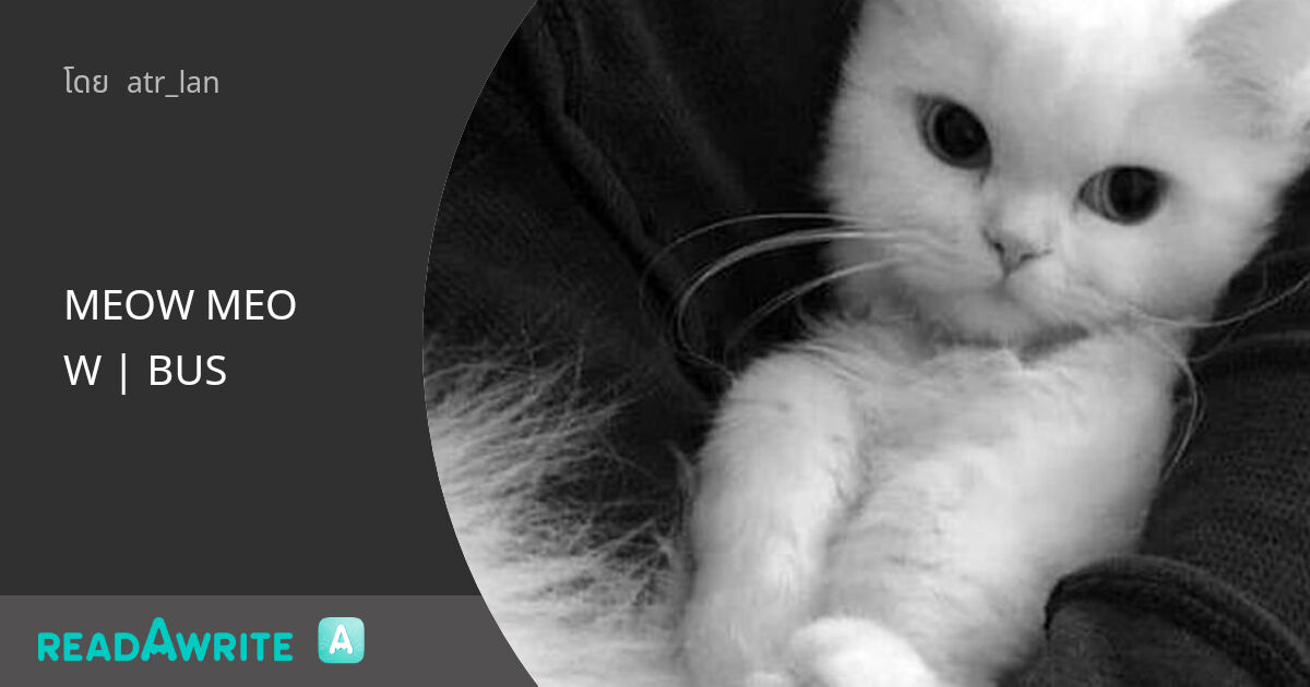 MEOW MEOW | BUS: ฟิค Boy Love (แชท)