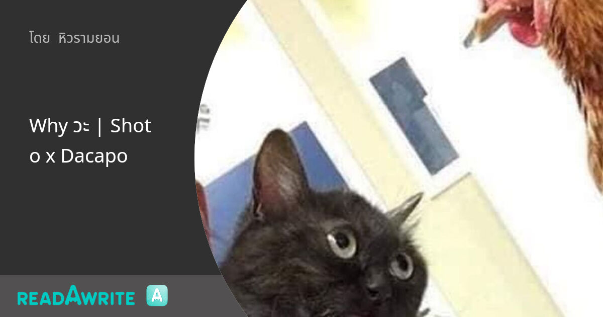 Why วะ | Shoto x Dacapo - one : ฟิค Boy Love (แชท)