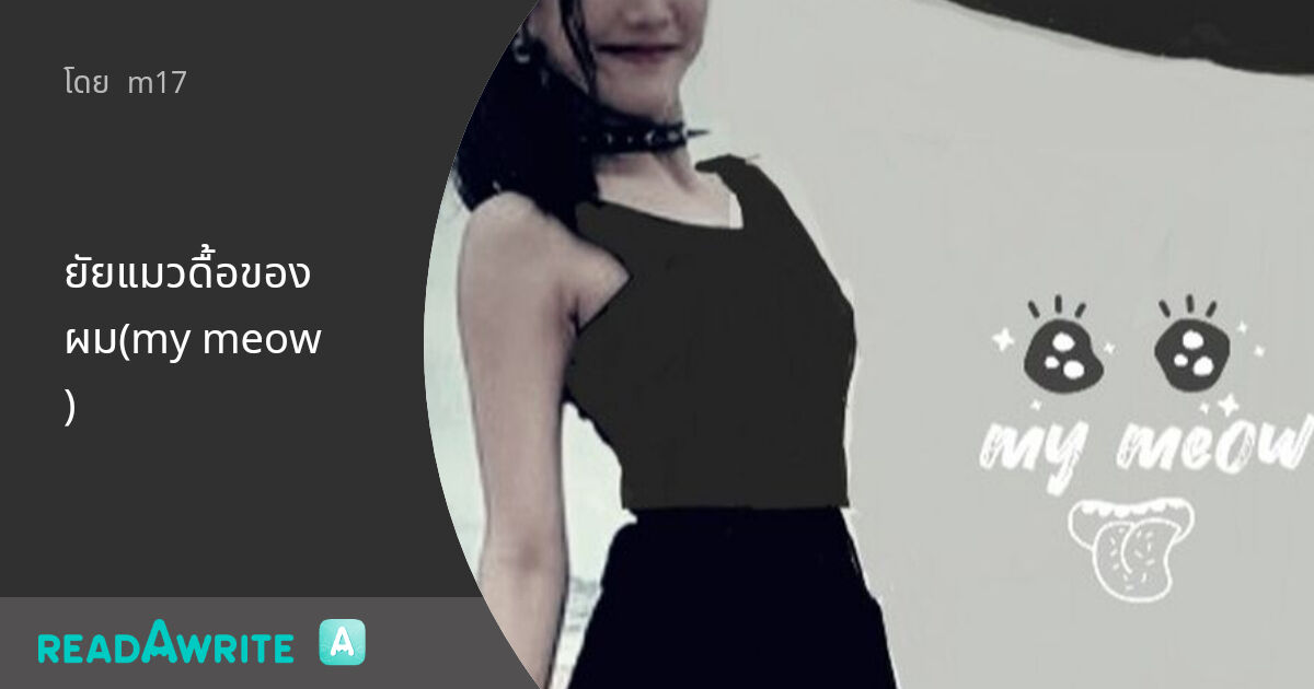 ยัยแมวดื้อของผม(my meow): ฟิค Love Novel (แชท)