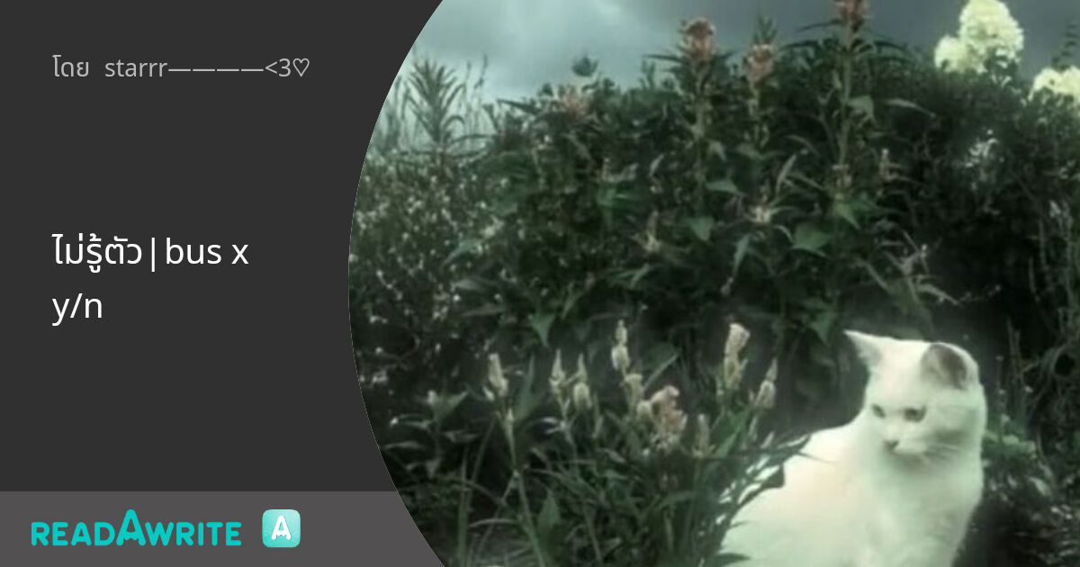 ไม่รู้ตัว|bus x y/n: ฟิค Love Novel (แชท)