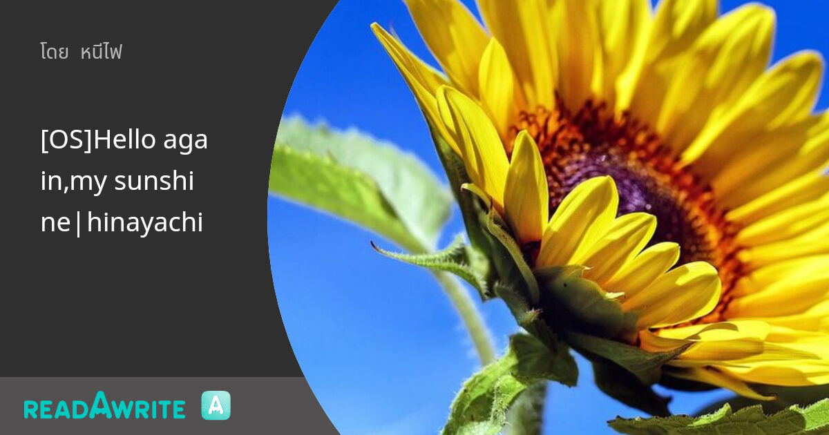 [OS]Hello again,my sunshine|hinayachi: ฟิคฟรีสไตล์ (บรรยาย)