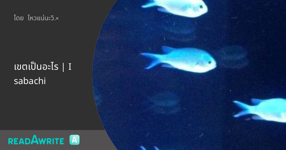 เขตเป็นอะไร | Isabachi: ฟิค Boy Love (แชท)