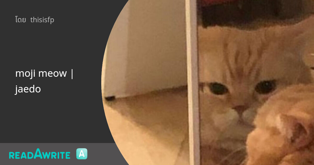 moji meow | jaedo - eleven : ฟิค Boy Love (แชท)