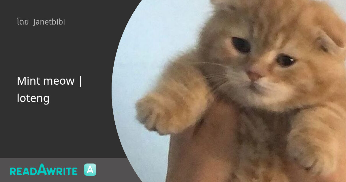 Mint meow | loteng: ฟิค Girl Love (แชท)