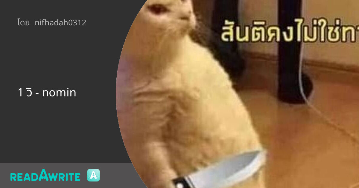 1 วิ - nomin - 17 : ฟิค Boy Love (แชท)