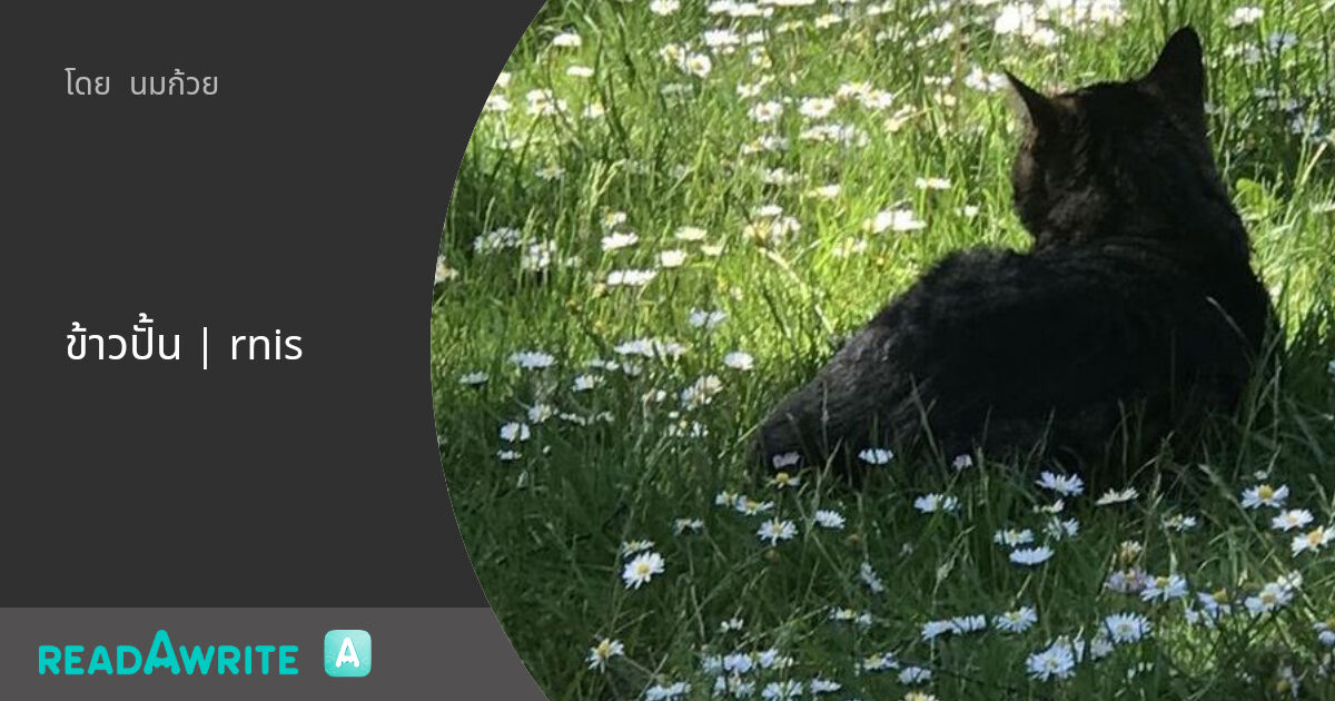 ข้าวปั้น | rnis: ฟิค Boy Love (แชท)