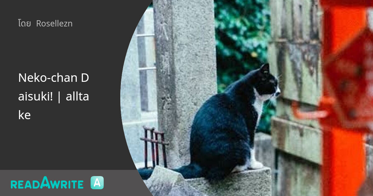 Neko-chan Daisuki! | alltake - ― ネコちゃん 【prologue】 : ฟิค Boy Love (แชท)