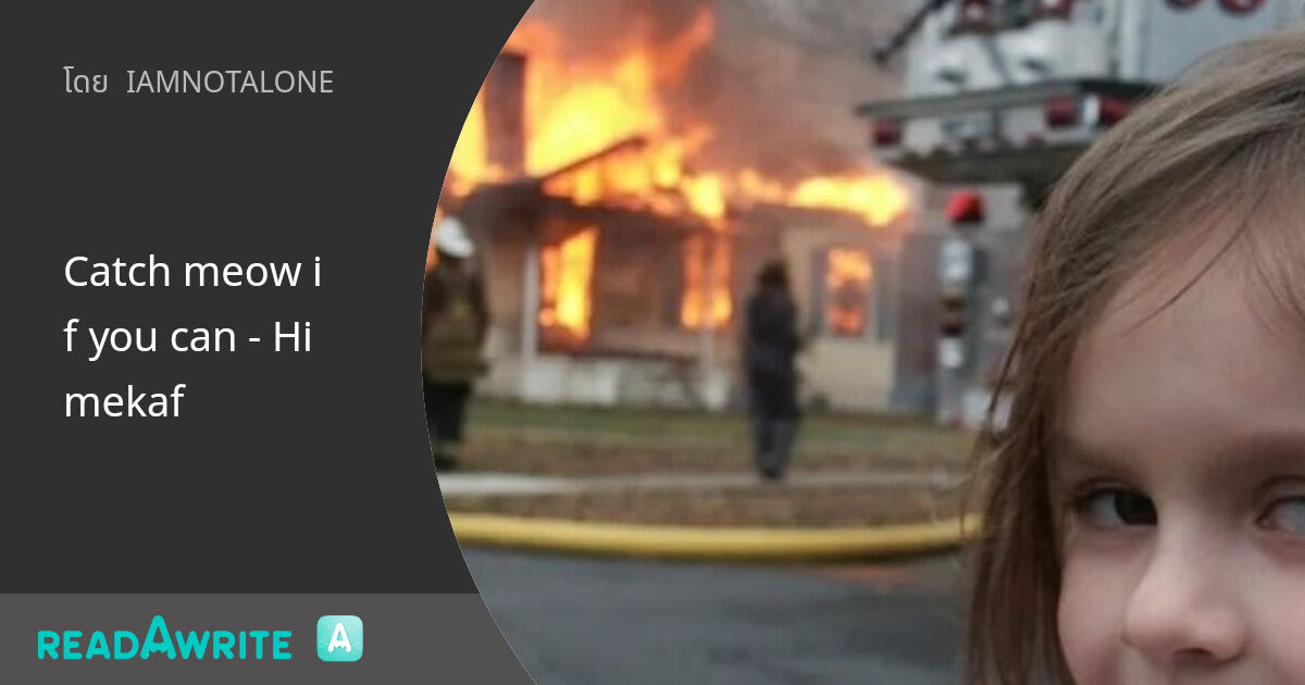 Catch meow if you can - Himekaf: ฟิค Girl Love (แชท)