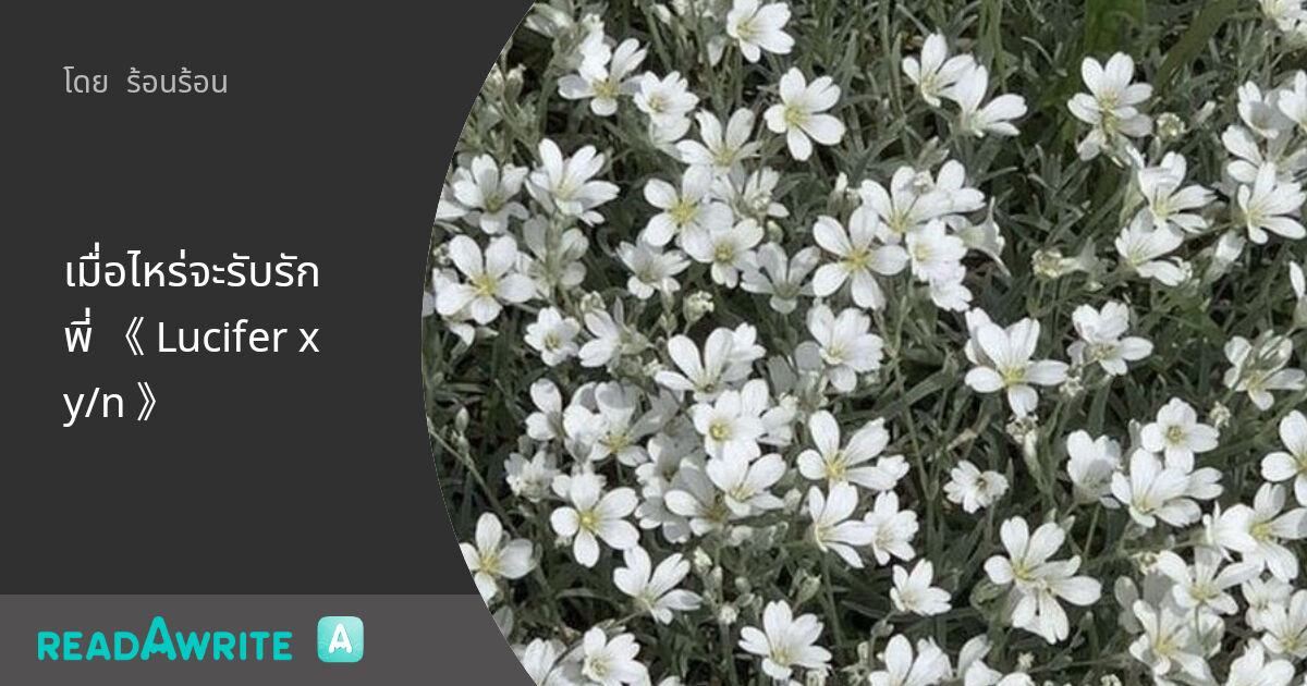เมื่อไหร่จะรับรักพี่ 《 Lucifer x y/n 》: ฟิค Love Novel (แชท)