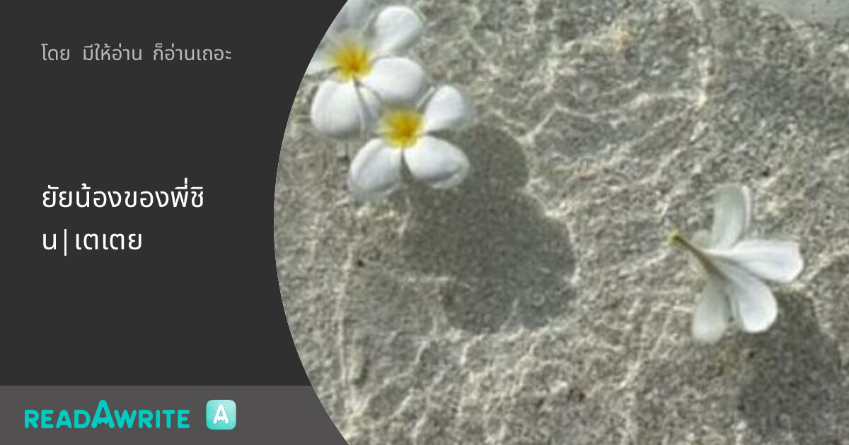 ยัยน้องของพี่ชิน|เตเตย - 29 : ฟิค Love Novel (แชท)