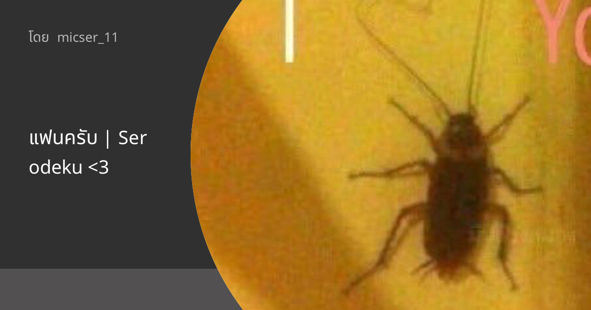 แฟนครับ | Serodeku