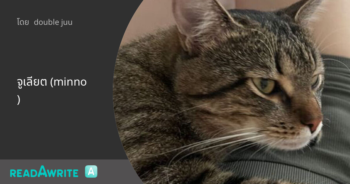 จูเลียต (minno) - mr.juu 03 : ฟิค Boy Love (แชท)