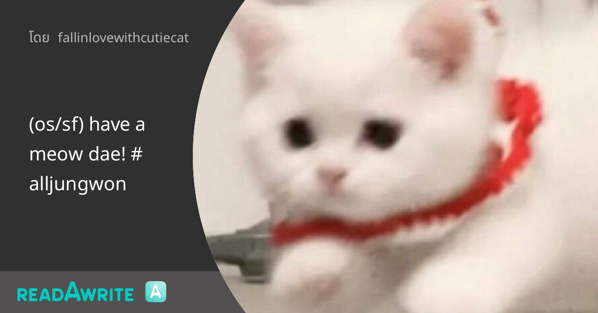 (os/sf) have a meow dae! #alljungwon - ( os ) หมวย | hoonwon : ฟิค Boy ...