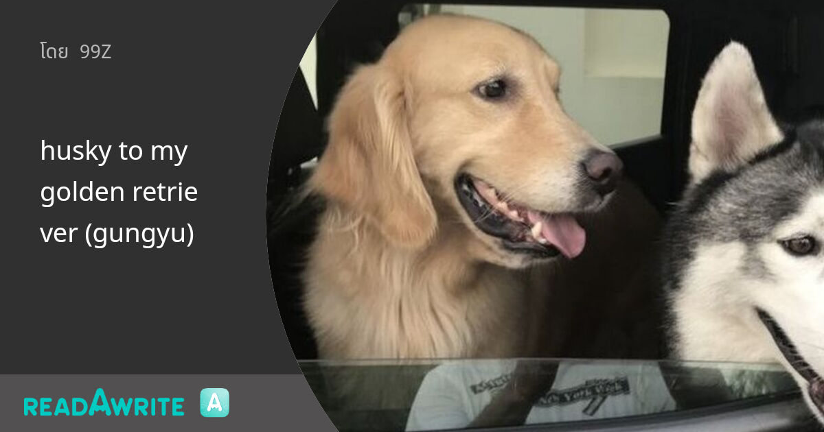 husky to my golden retriever (gungyu): ฟิค Boy Love (แชท)