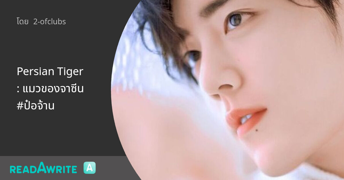 Persian Tiger : แมวของจาซีน #ป๋อจ้าน: ฟิค Boy Love (แชท)
